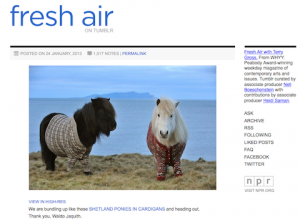 26 Ways to Market Your Business With Tumblr : Social Media Examiner