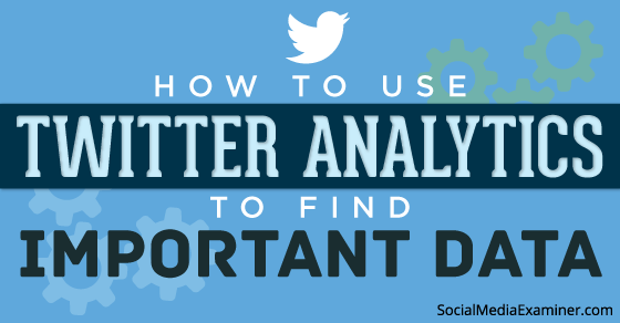 How to Use Twitter Analytics to Find Important Data : Social Media Examiner