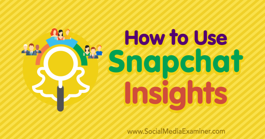 How to Use Snapchat Insights - Ask the Egghead, Inc.