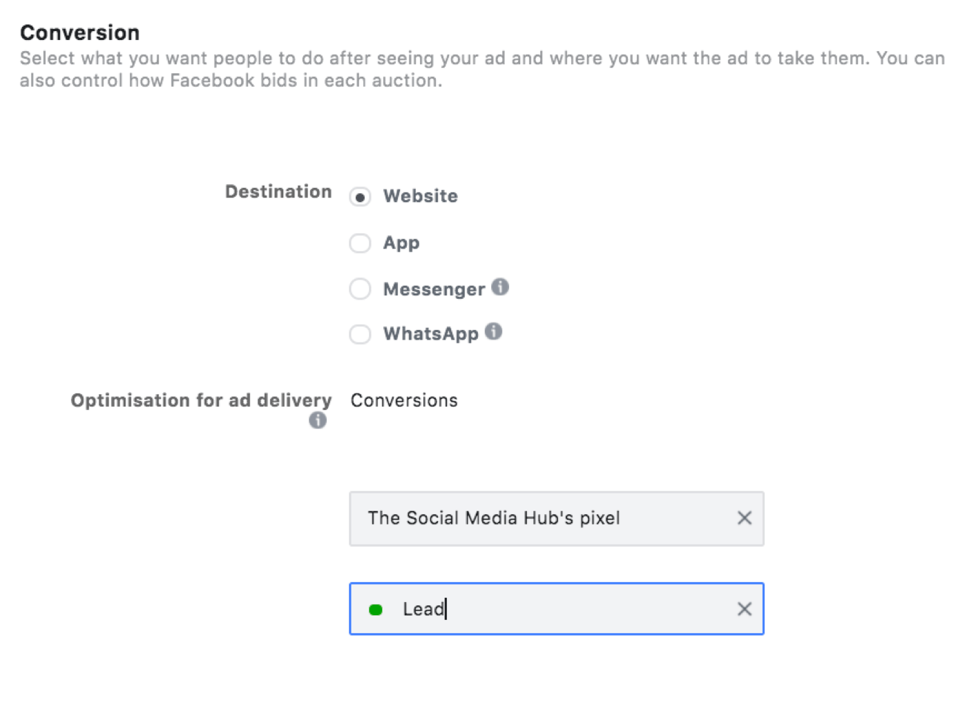 How to Grow Your Email List With Facebook Ads | Lipstick Alley