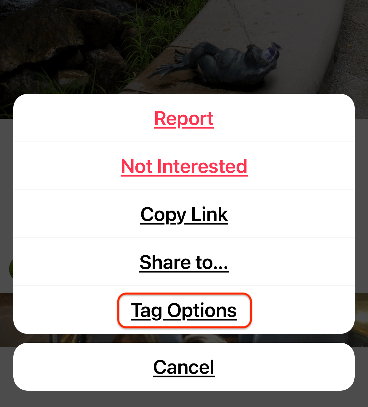 Start 3 Instagram Tags For More Exposure Dr Ali Griffith