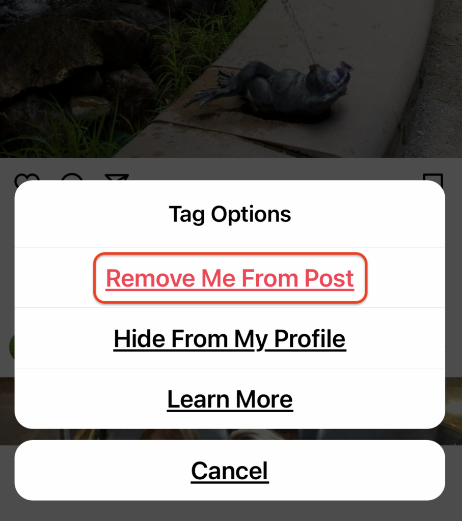 How to Use Instagram Tagging for More Exposure : Social Media Examiner