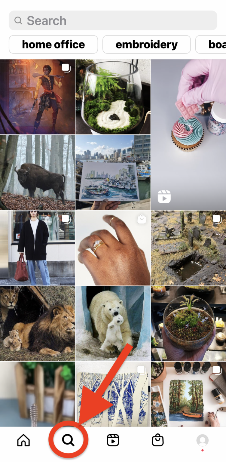 How to Get More Exposure on Instagram : Social Media Examiner