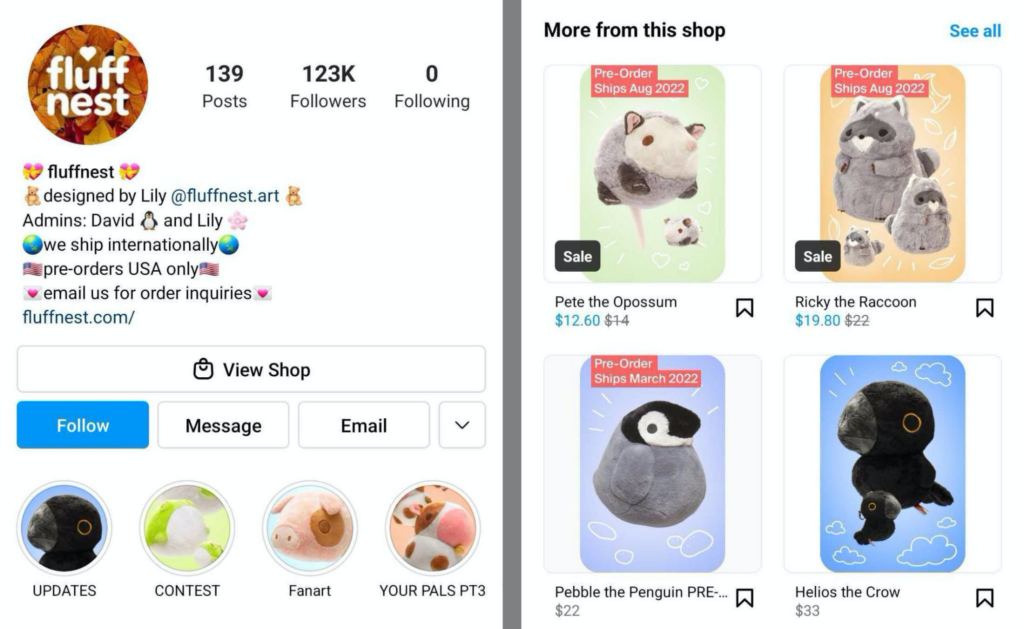 Instagram Shops and Facebook Shops Setup Tutorial for 2022 : Social ...