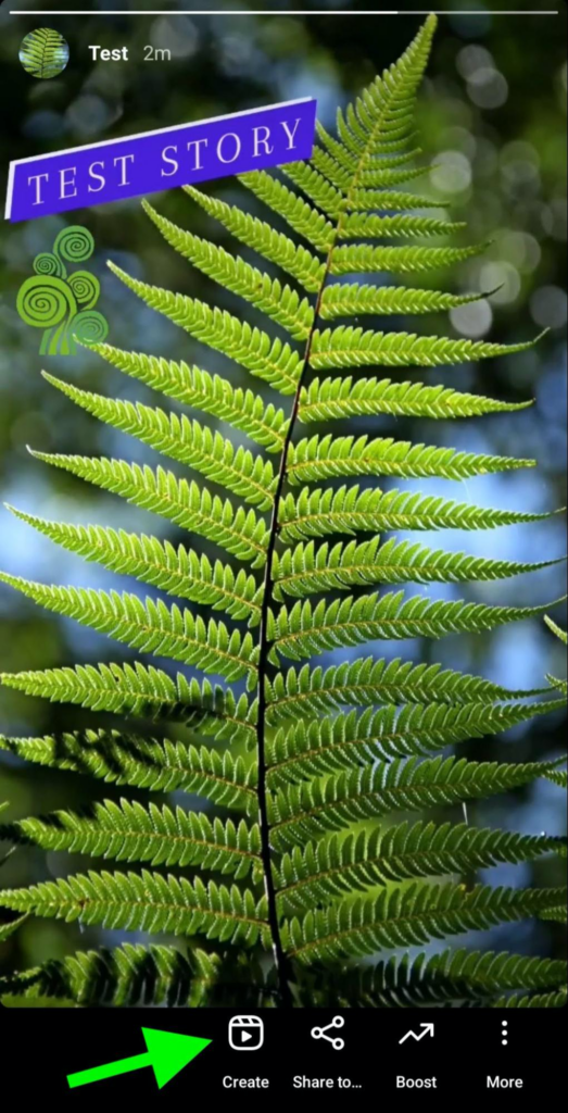 How to Convert Instagram Story Highlights to Reels : Social Media Examiner