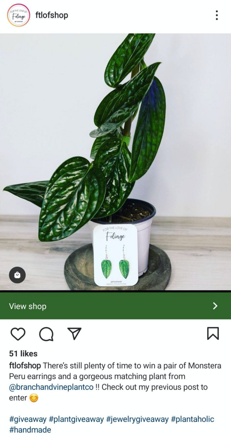 15 Ways to Use Instagram Product Tags : Social Media Examiner