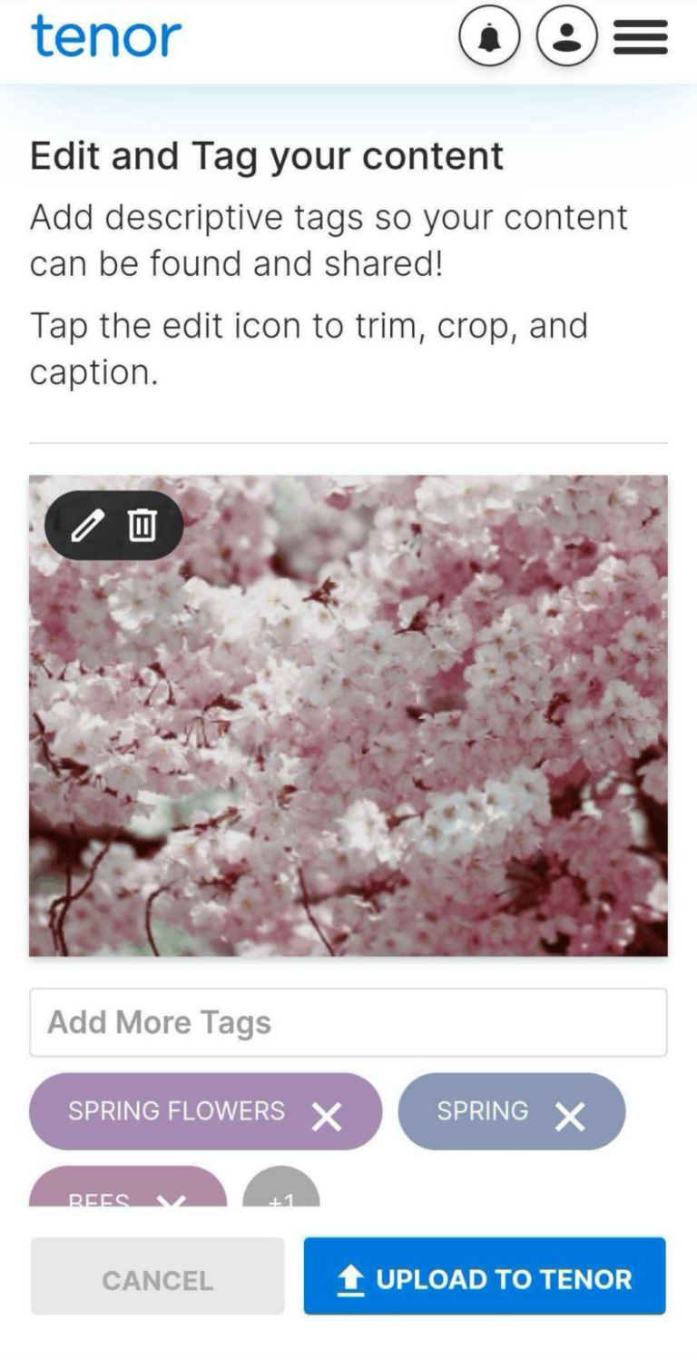 How to Use Marketing GIFs in Your Campaigns : Social Media Examiner