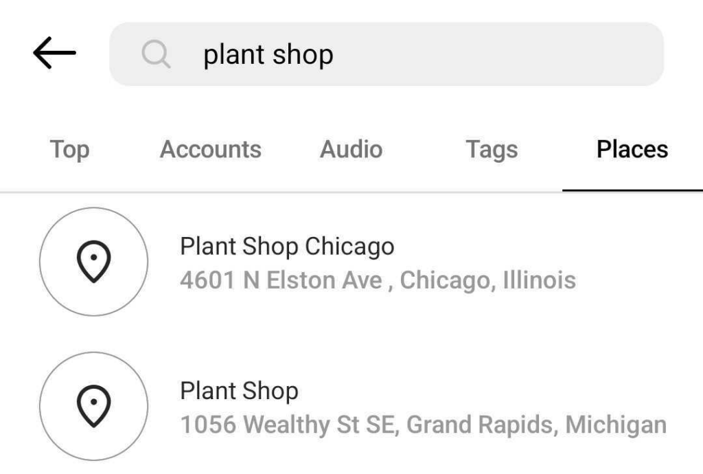 Instagram Followers: How to Grow Your Audience in 2022 : Social Media ...