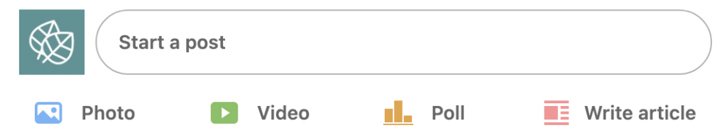 How to Start a LinkedIn Newsletter With Your Company Page : Social ...