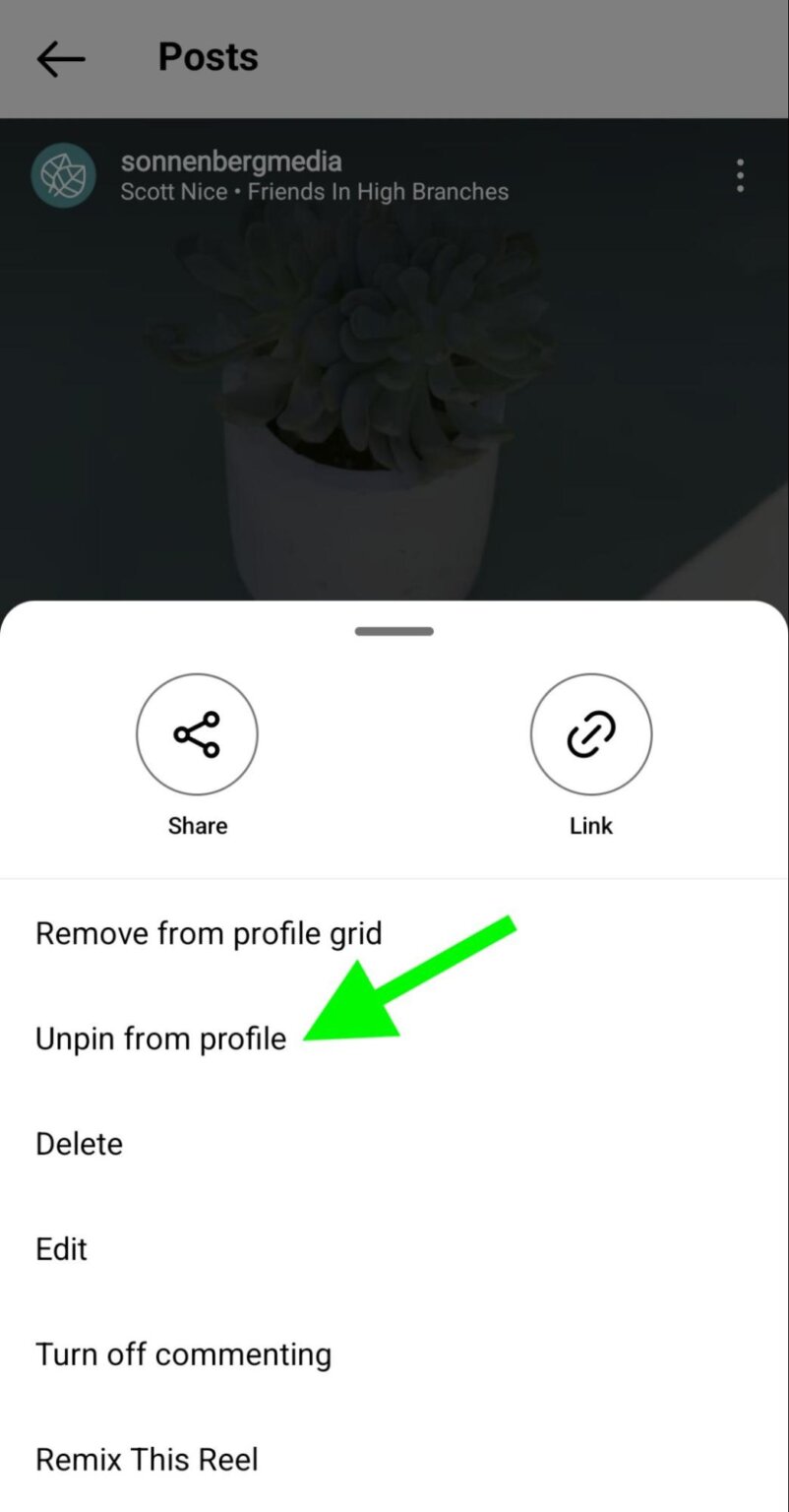Instagram Marketing: How to Pin Posts and Reels to a Profile : Social ...