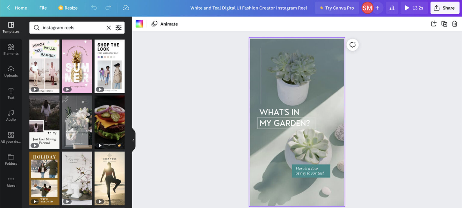 How to Make Instagram Reels Like a Pro : Social Media Examiner