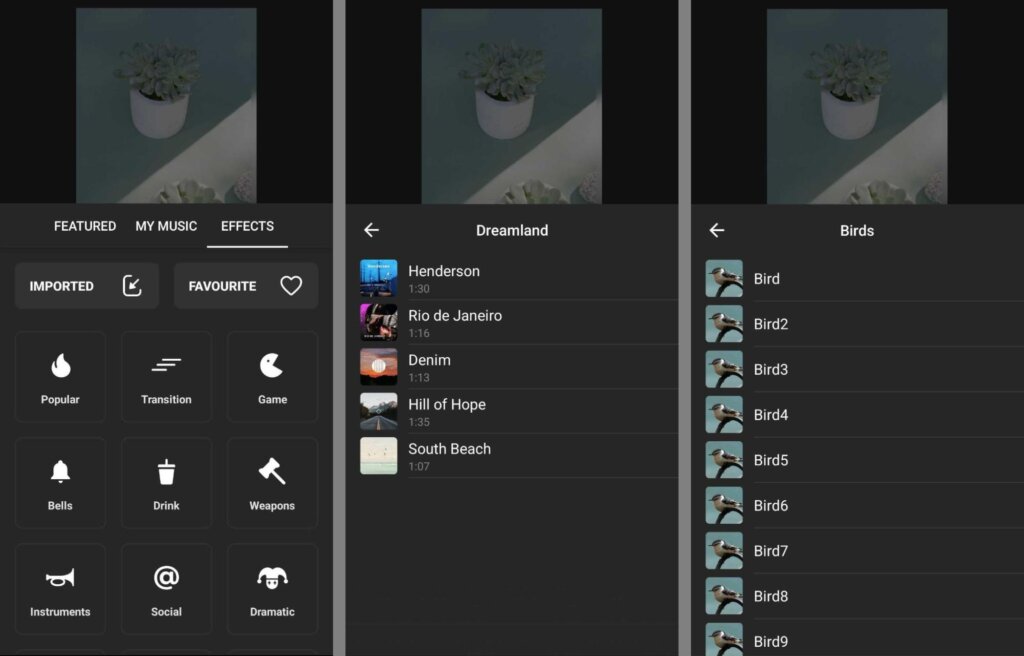 How to Make Instagram Reels Like a Pro : Social Media Examiner