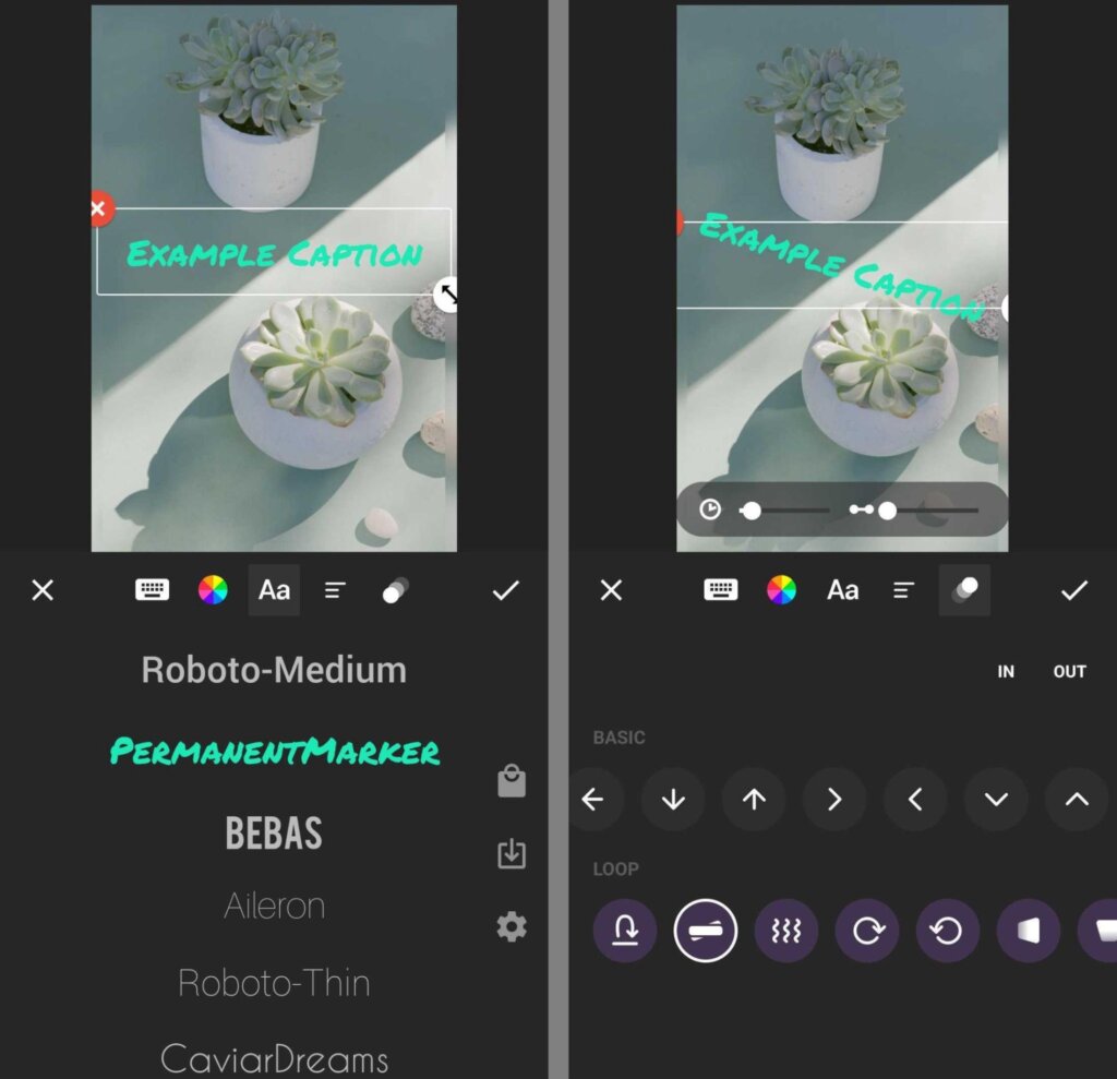 How to Make Instagram Reels Like a Pro : Social Media Examiner