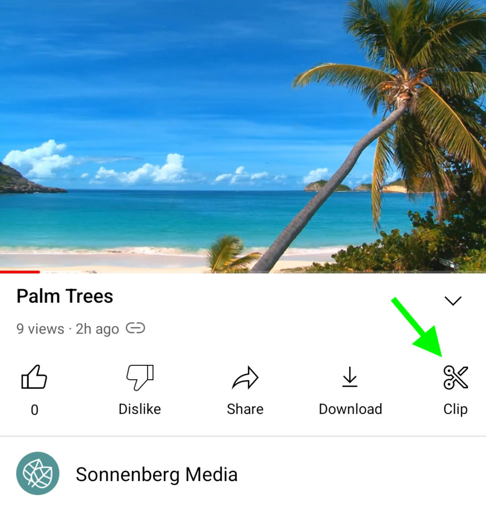 How to Make YouTube Clips : Social Media Examiner