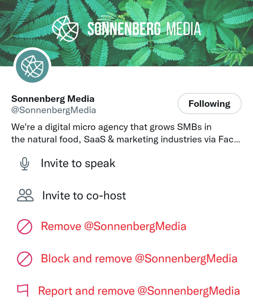 Twitter Spaces: Your Complete Guide to Getting Started : Social Media Examiner