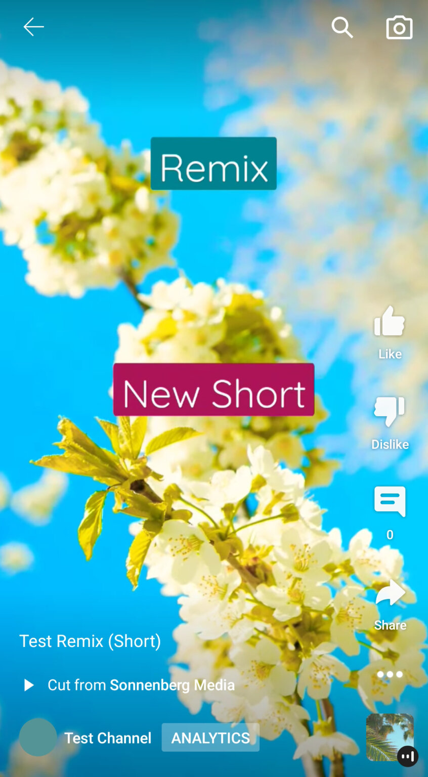 How to Easily Create YouTube Shorts With YouTube Remix : Social Media Examiner