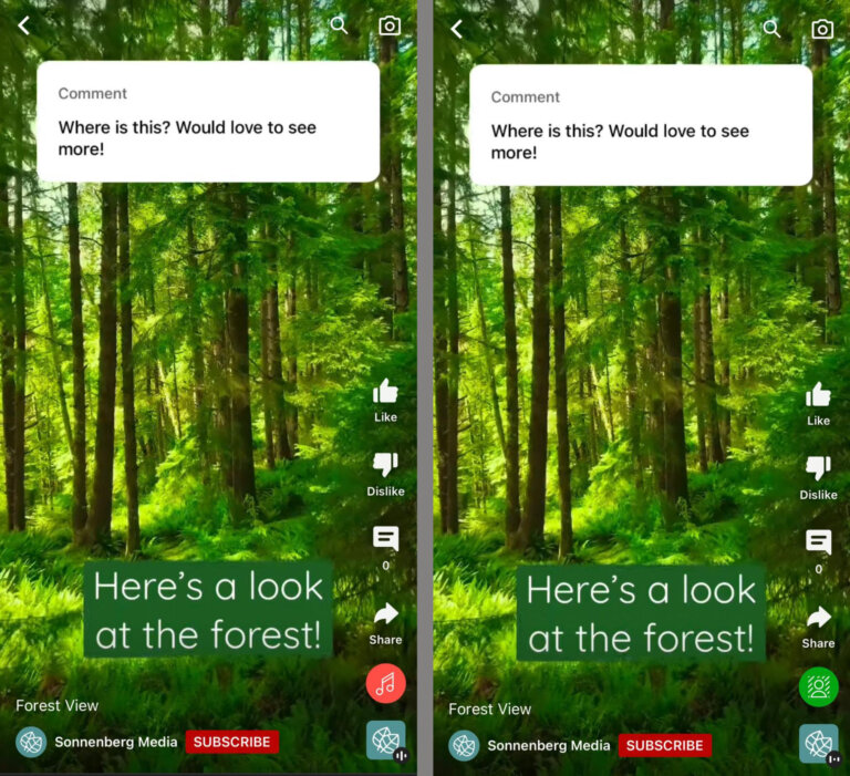 How to Reply to YouTube Comments With Shorts : Social Media Examiner