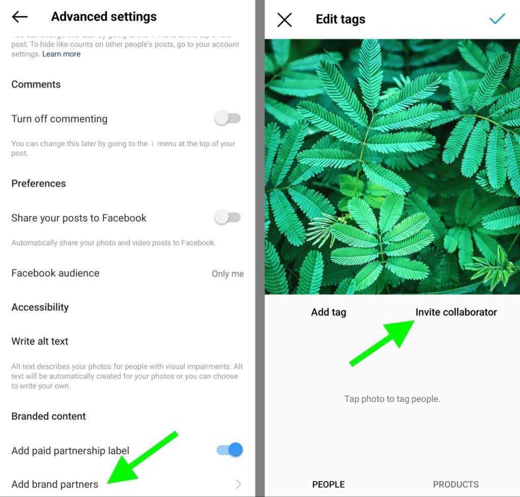How to Build a Brand on Instagram That Stands Out and Thrives : Social ...