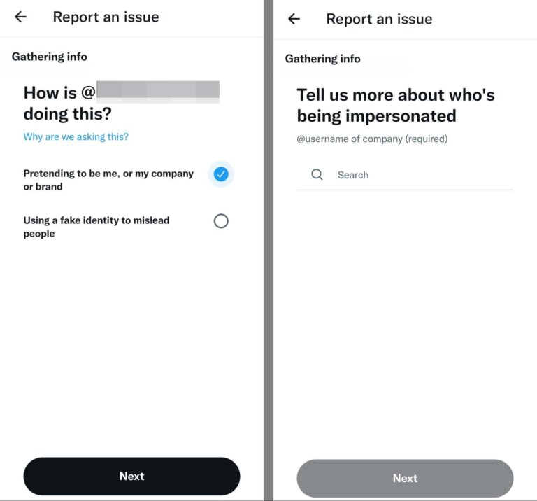 How to Report Fake Accounts on Instagram, Facebook, LinkedIn, YouTube ...