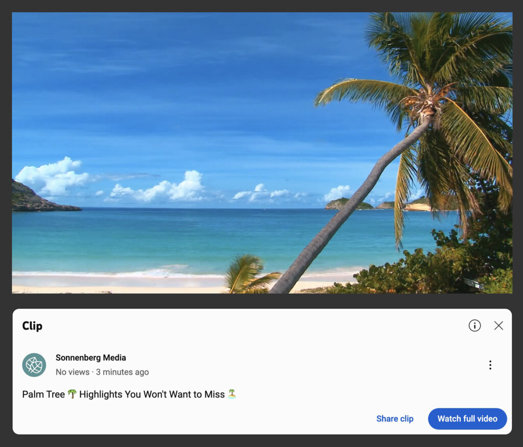 How to Grow Your YouTube Channel With YouTube Shorts and Clips : Social ...