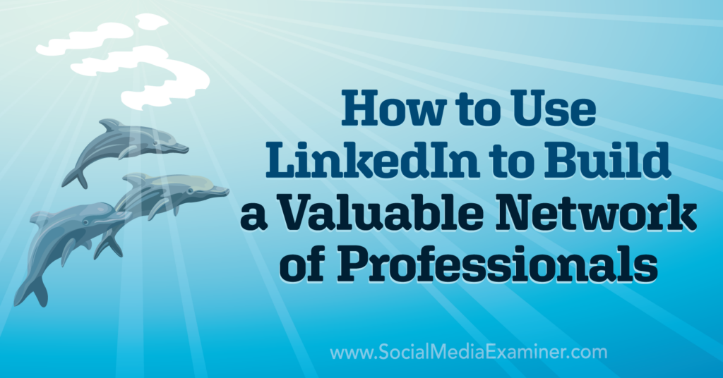 How to Use LinkedIn to Build a Valuable Network of Professionals ...