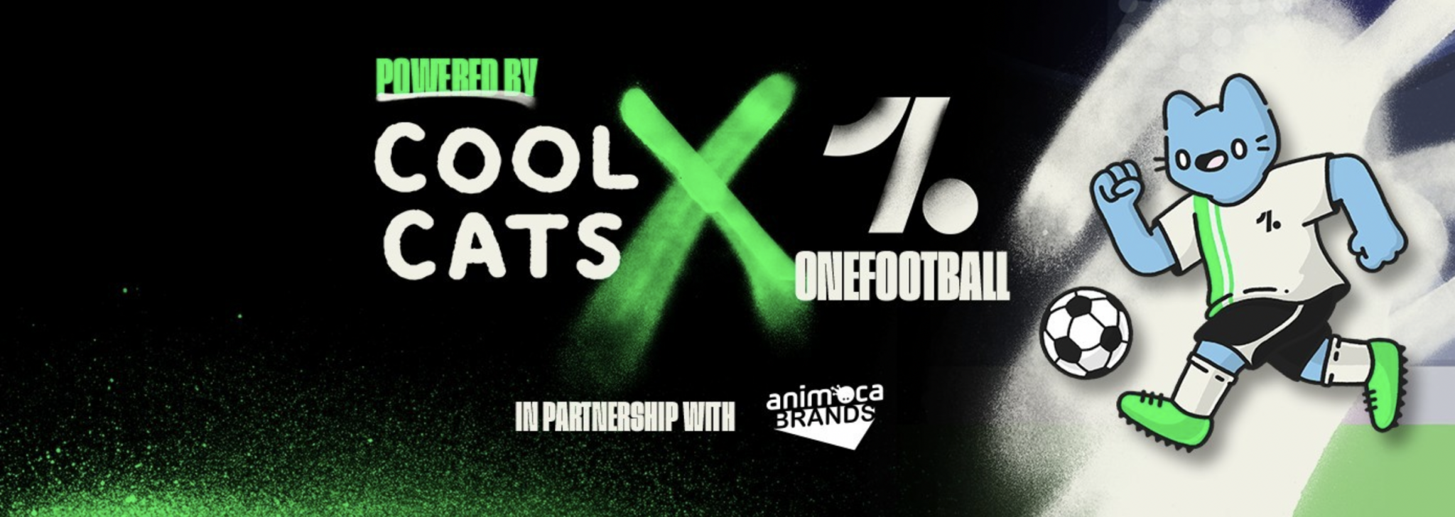 Lessons From Cool Cats: From Creative to Business and Beyond : Social ...
