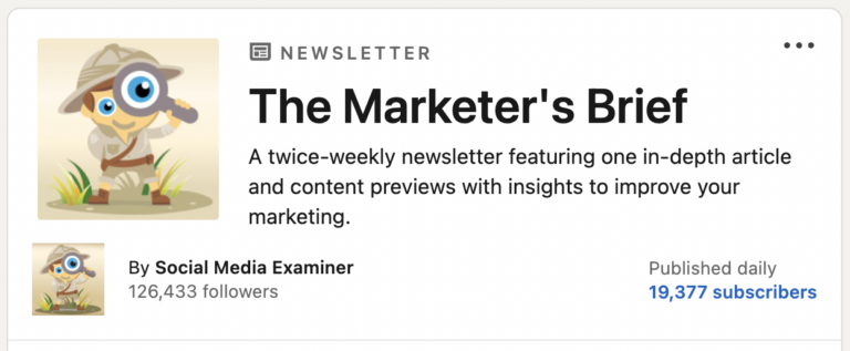 How to Use LinkedIn Newsletters: A Guide for Businesses : Social Media ...
